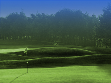 Golf | TV App | Roku Channel Store | Roku