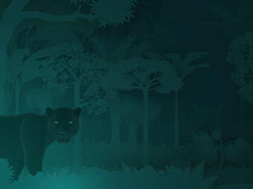 Nuit dans la jungle | Roku Channel Store | Roku