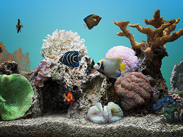 Vie aquatique | Roku Channel Store | Roku